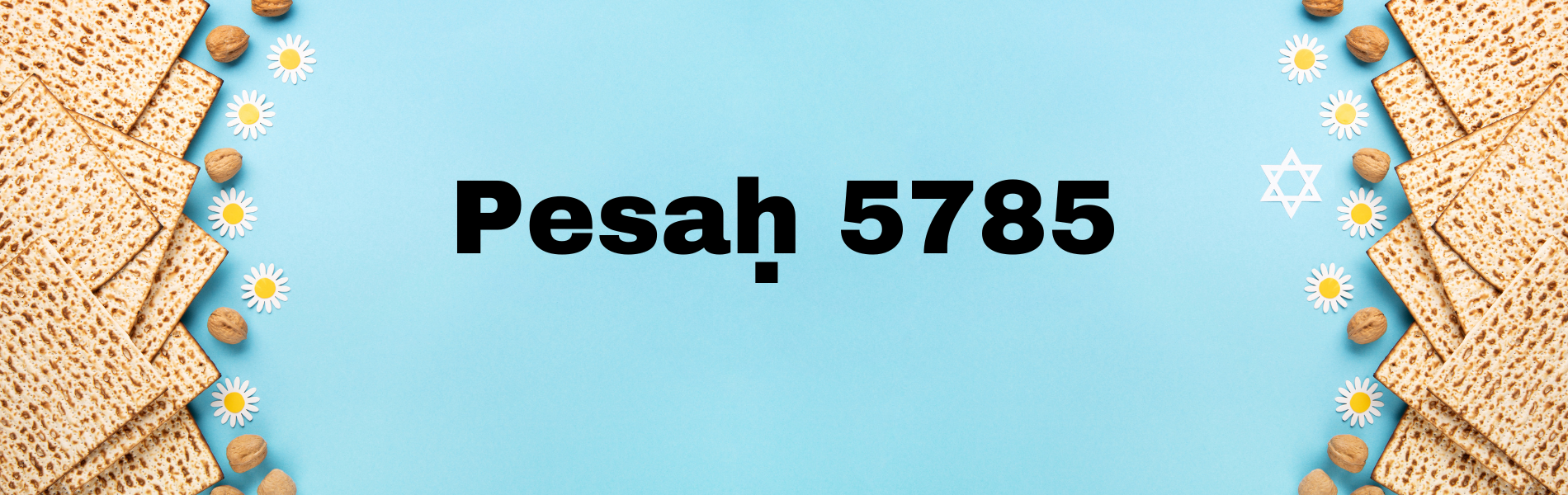 2025 Happy Passover Banner (1) - Beth Shalom